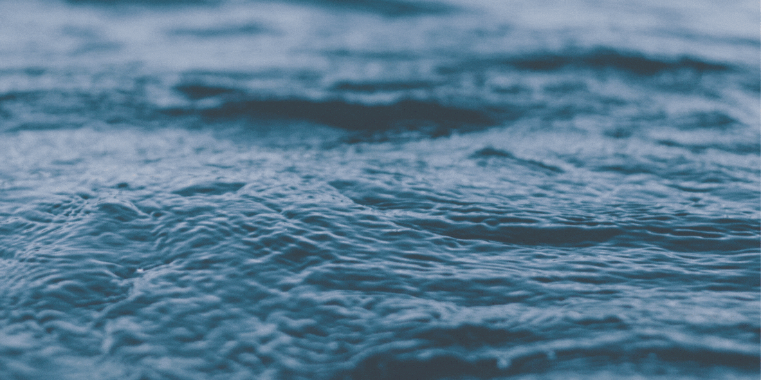 Tørrfisk Snacks – Torrfisk.no